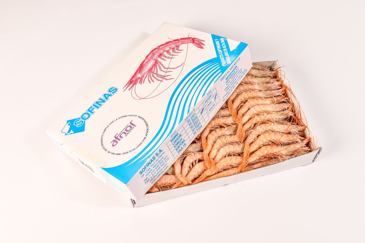 Gamba blanca de Marruecos | Estuche 1,2KG/AP *Producto bajo demanda ...